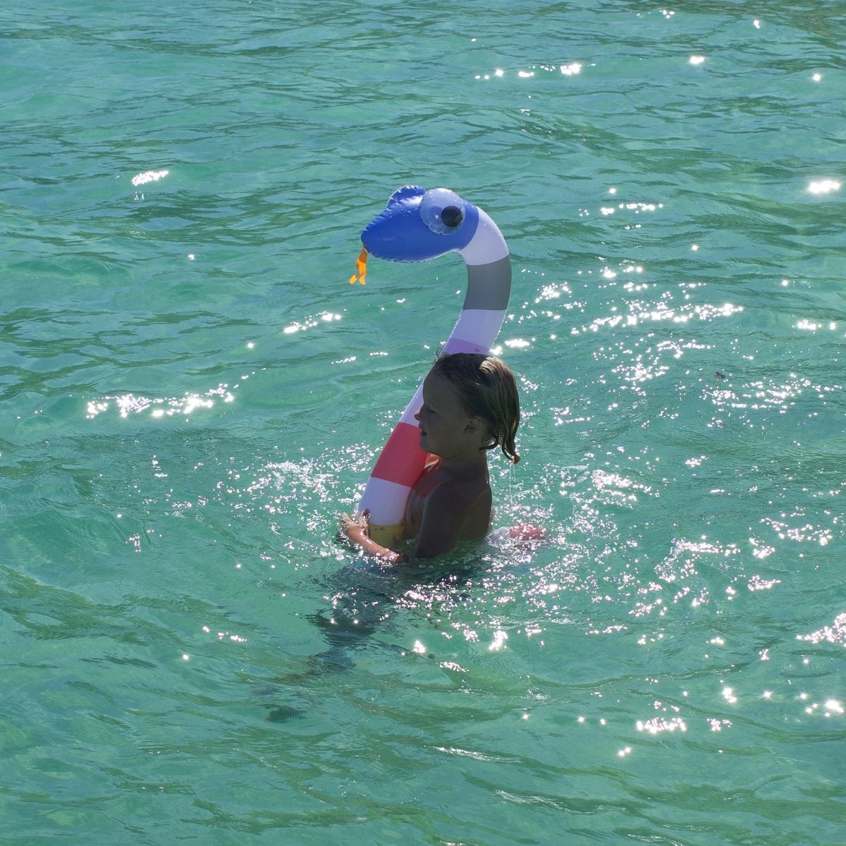 Kids Inflatable Noodle | Into the Wild Multi – SUNNYLiFE AU